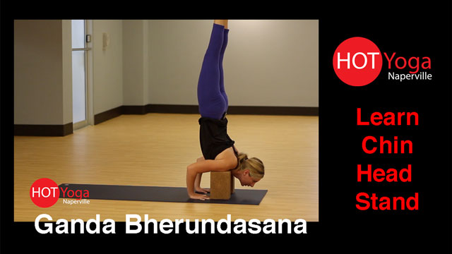 Learn Chin Head Stand | Ganda Bherundasana Pose | Hot Yoga Naperville
